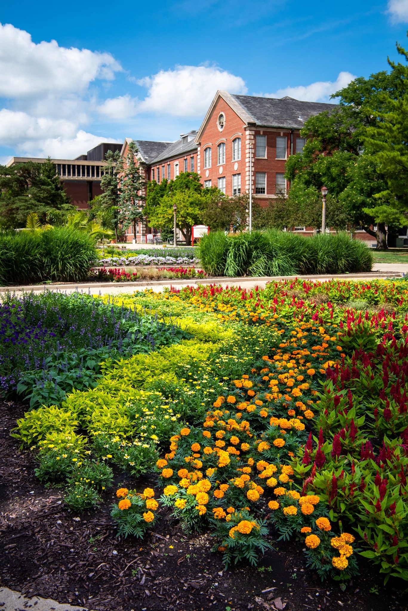 Spring Break Update - WZND Fuzed Radio